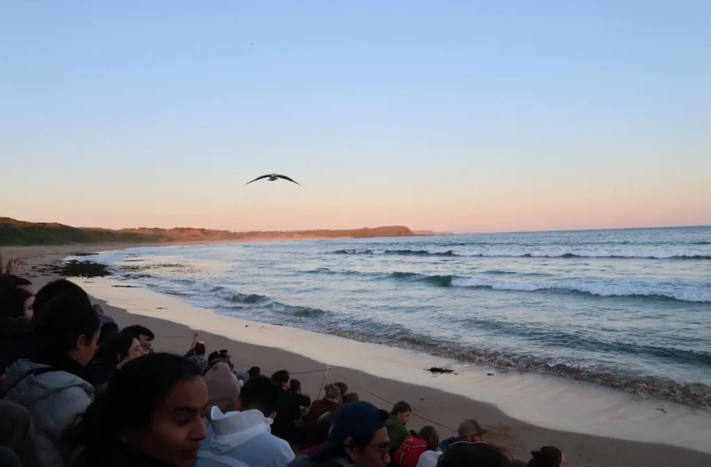 Phillip Island’s Annual Events and Festivals